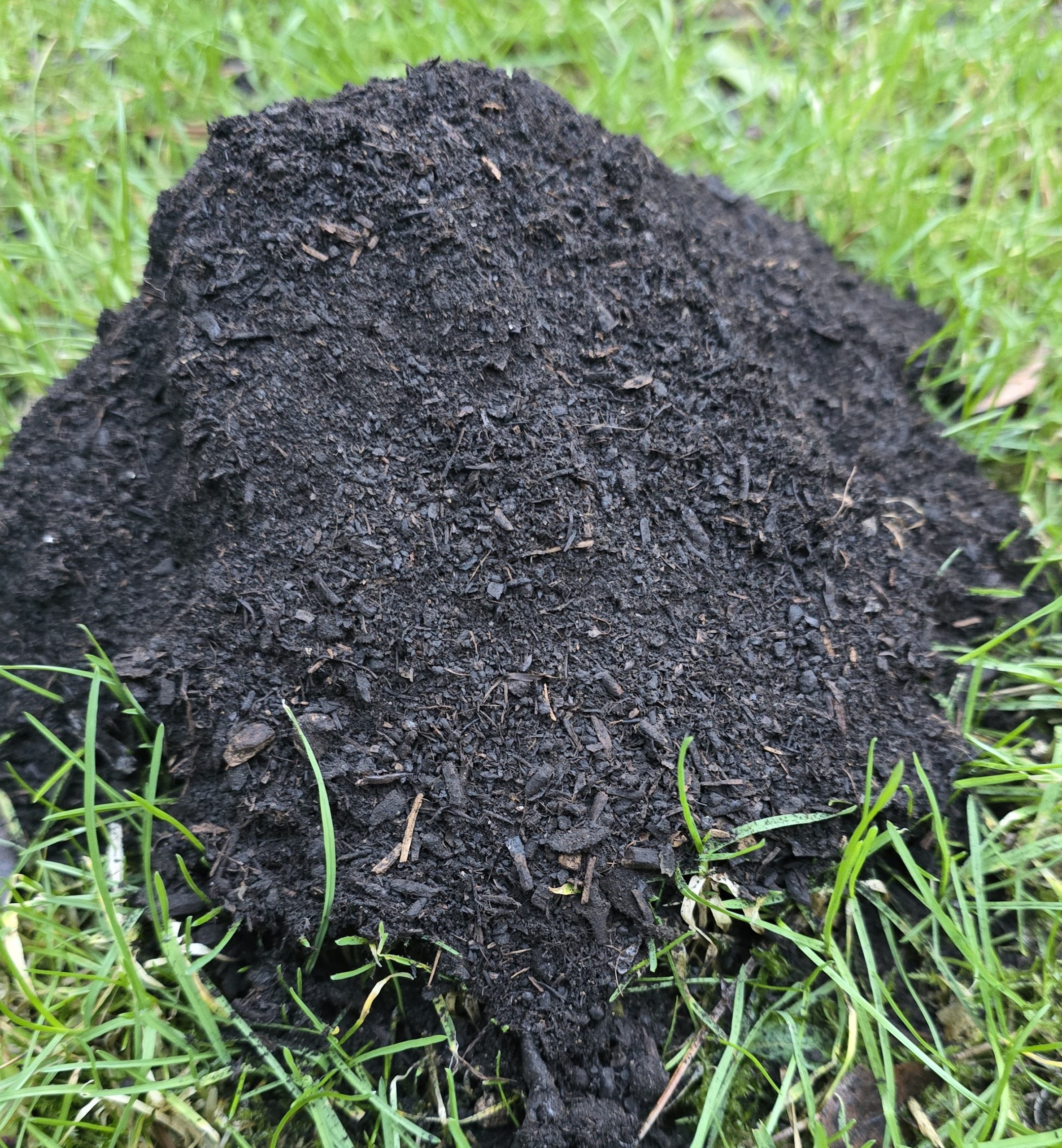 Improve your lawn with Envirodress, Peat Free, Top Dressing - Envirodress
